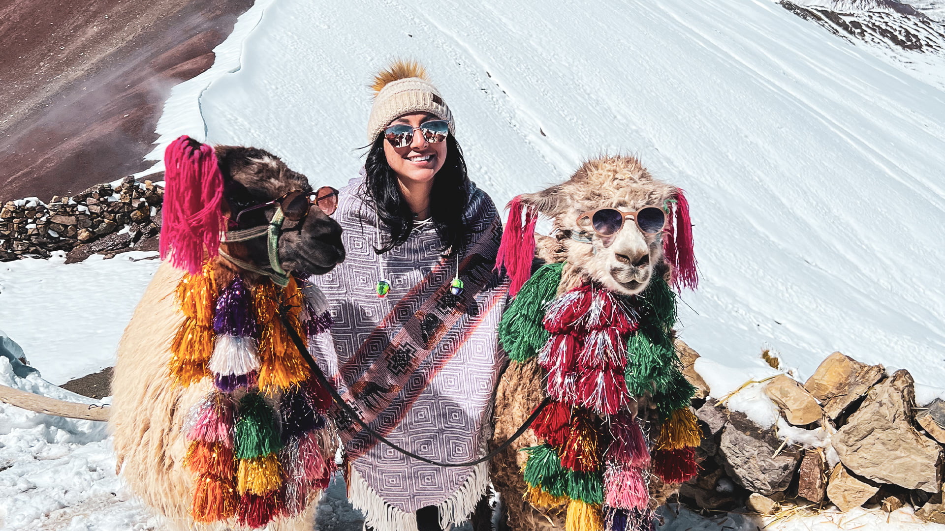 The Ultimate Guide to Llamas and Alpacas: Everything You Need to Know