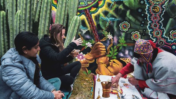 San Pedro Wachuma Ceremony - Allyn Pacha Peru Tours